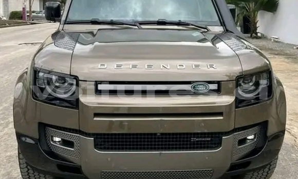 Acheter occasion voiture land rover defender gris à aboisso, ivory ...
