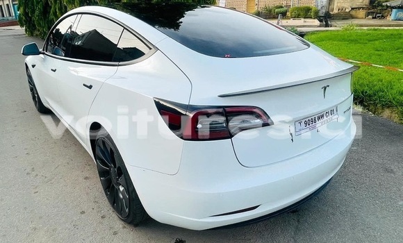 Acheter occasion voiture tesla model 3 blanc à aboisso, ivory coast ...